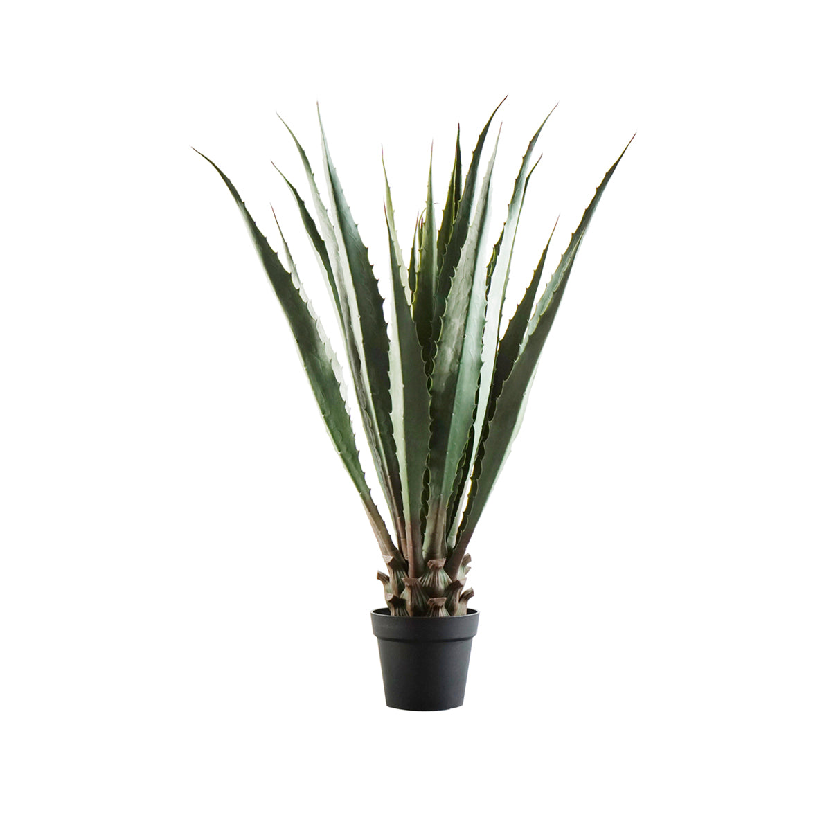 Agave en Maceta -A112 – cornerhomemx