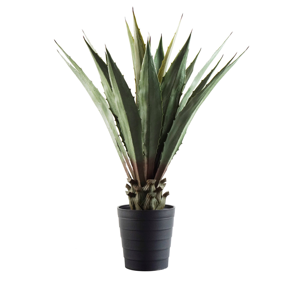 Agave en Maceta -A98 – cornerhomemx