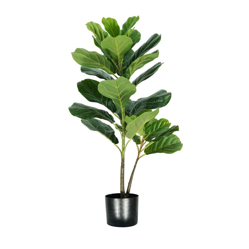 Pandurata-A95 – cornerhomemx